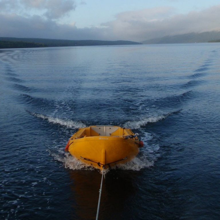 Buy Now - Portland Pudgy